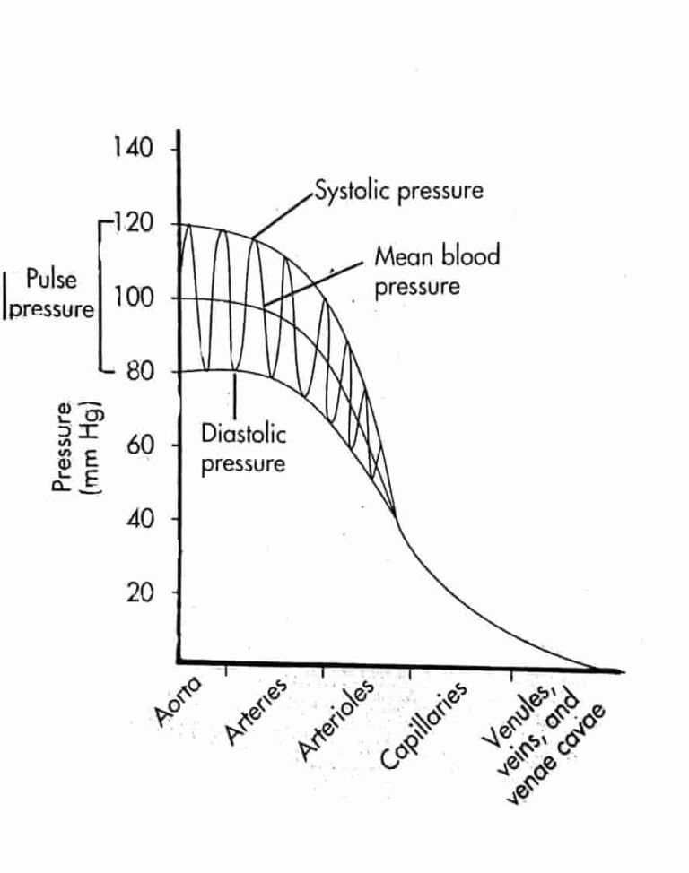 what is blood pressure